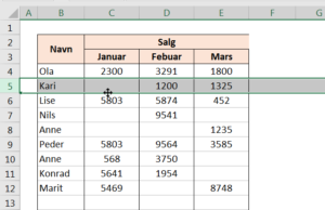 Hvordan skjule og vise rader i Excel - Office-Tips.no